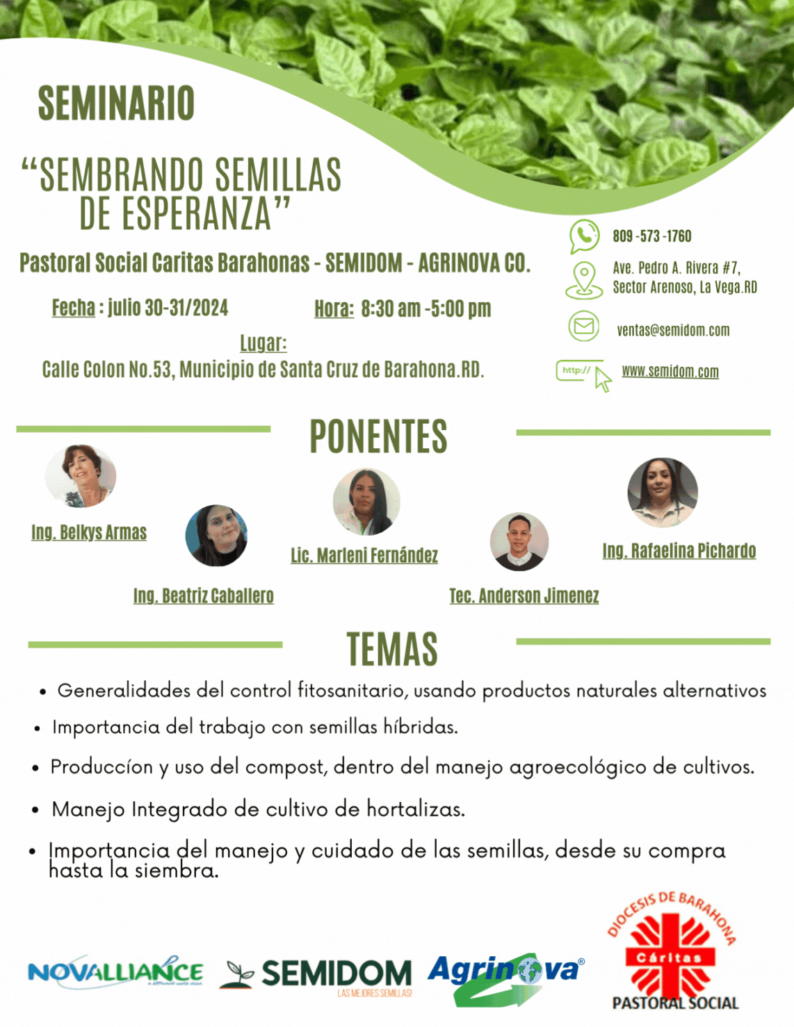 Hoja De Trabajo De Semillas