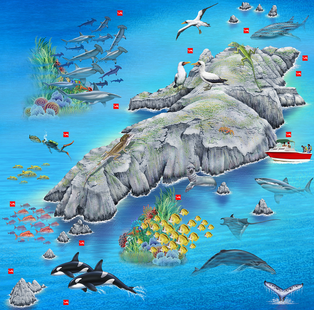 16. SANTUARIO DE FAUNA Y FLORA MALPELO | patrimonios