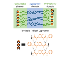 Publications | Nelson Research Labo