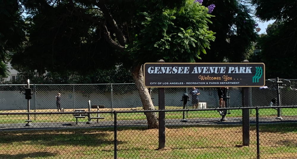 Improvements to Genesee Park!