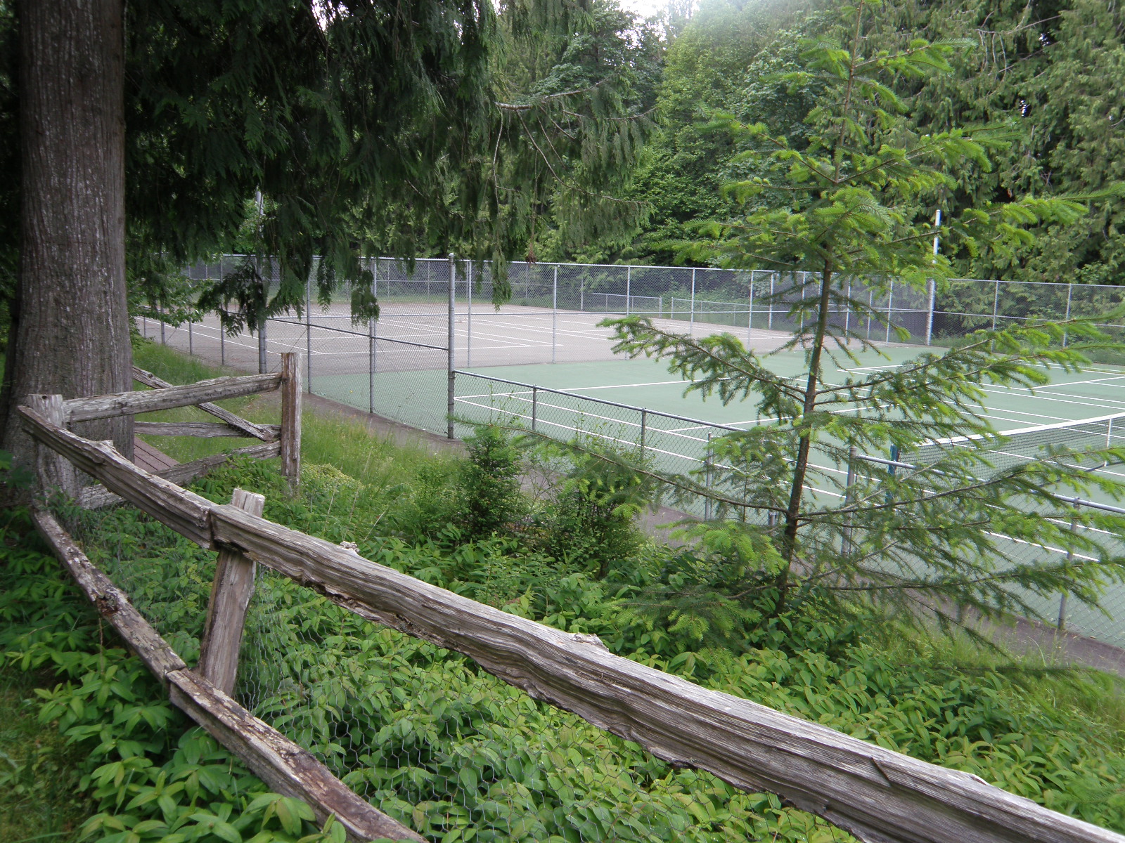 Recreation | seabeck