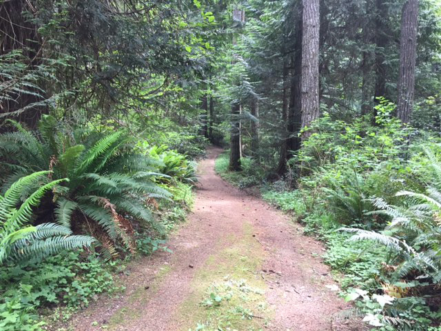 Recreation | seabeck