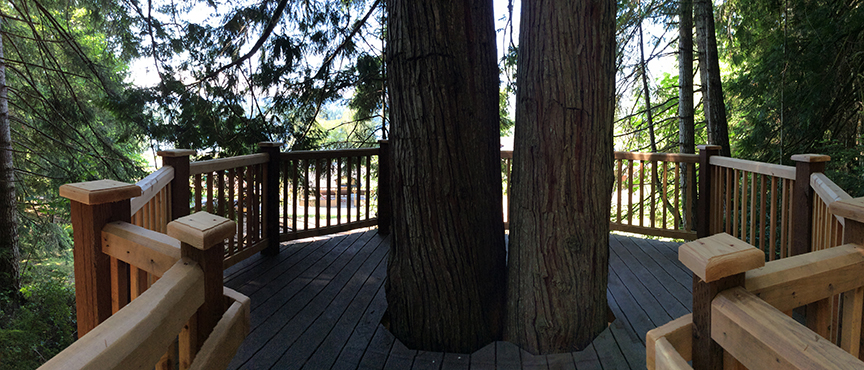 Recreation | seabeck