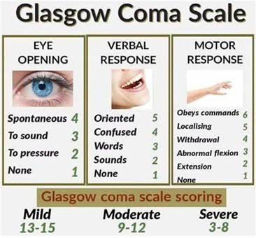 ranchos cognitive scale