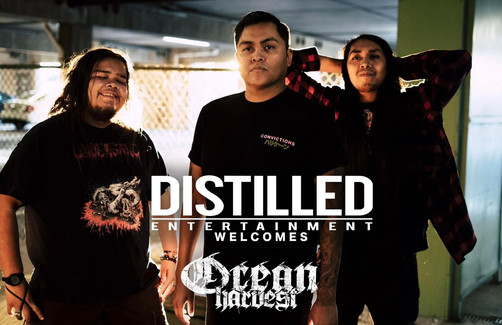 OFFICIAL ARTISTS | Distilled Entertainment Band Management