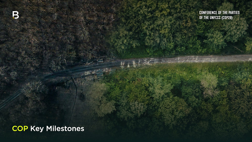 Recap COP Key Milestones