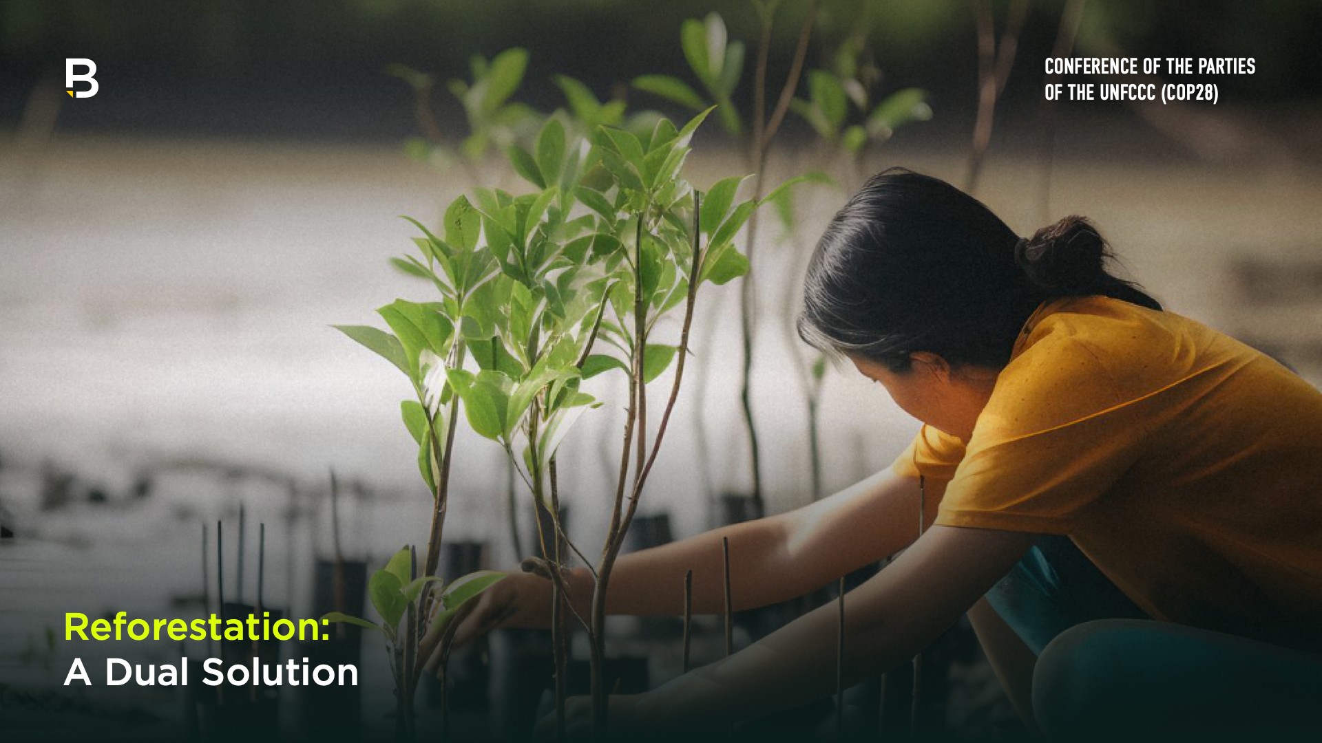 Reforestation: A Dual Solution