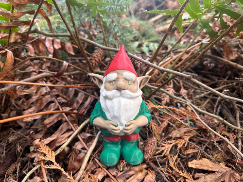 Classic Gnome | Kingdom of Gnome