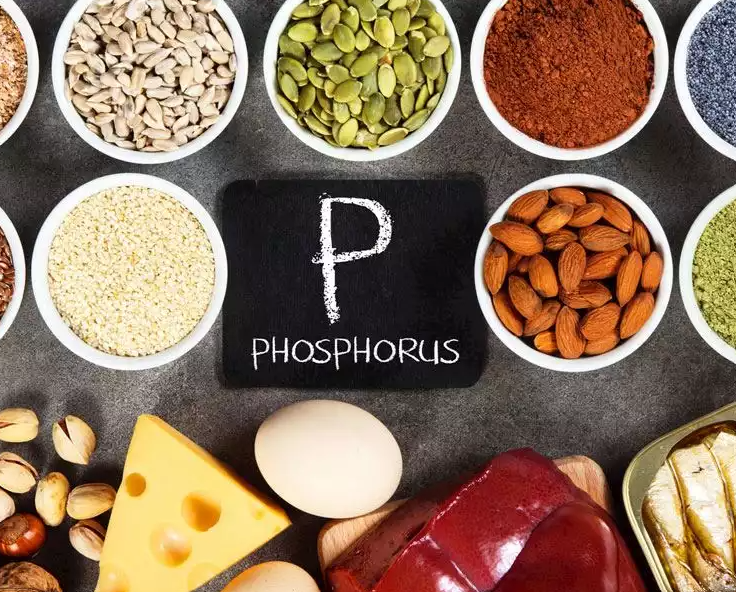 Fosfor | Her gün daha FİT!