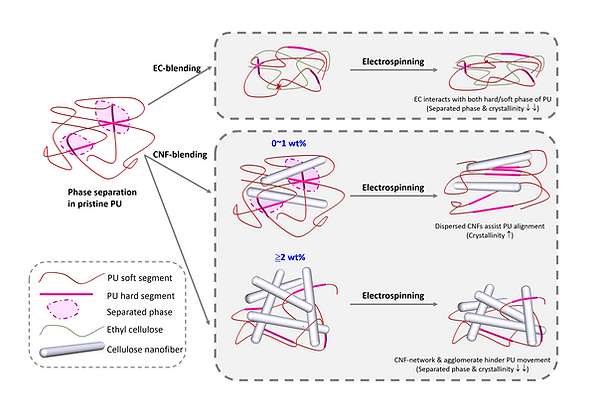 Dr. Lin-2022 | Frontiergroup