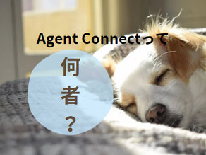 Blog | AGENTCONNECT