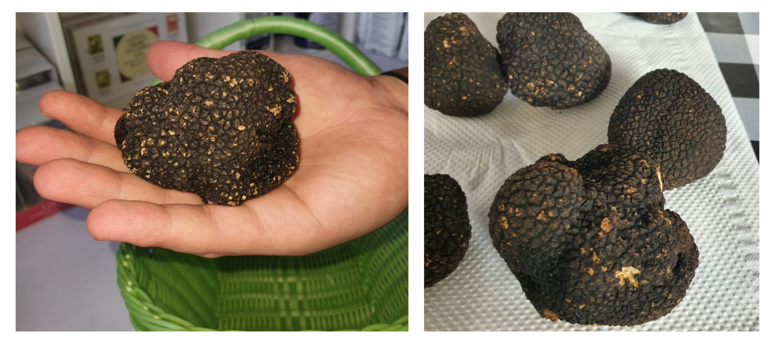 Italian Truffles - Gourmet Delights at IFM Gourmet Food Store Dubai