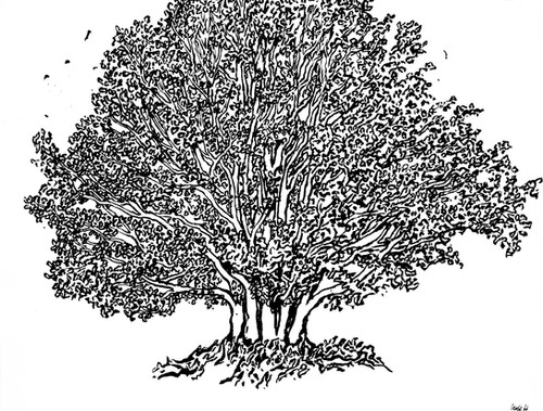 Norway Series (1966) | Thomas George Artist