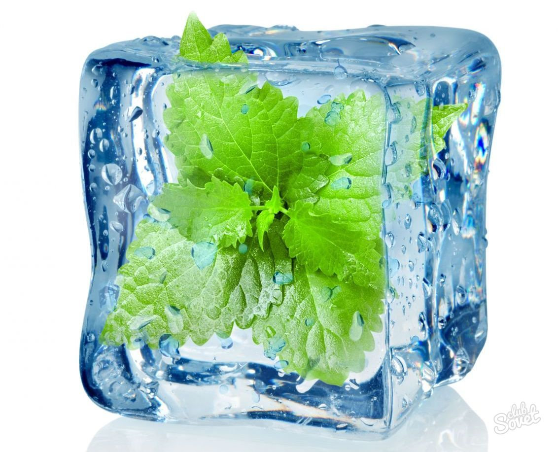 Mentol | Biovital Indústria e Comércio