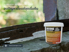 กันซึมใส Polyaspartic | LucernaPro