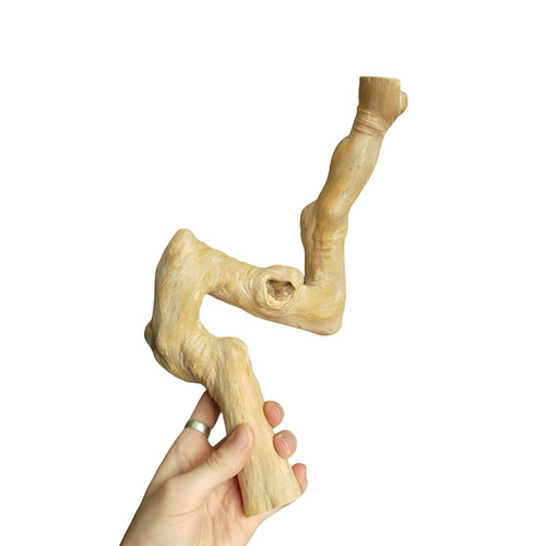 Java Wood Branch | Hamsters We Love