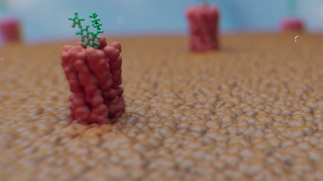 Hyperfine Studios | medical animation | Sweden
