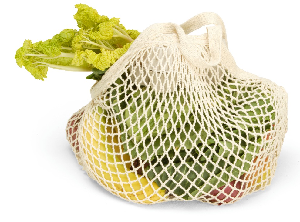 Turtle Bags