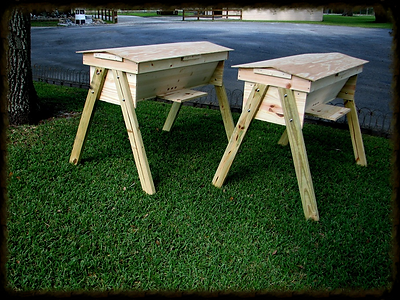 Custom Bee Hives | honeybees