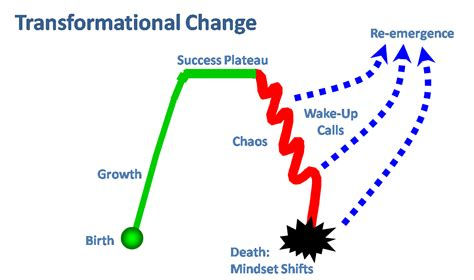 CHANGE THAT HEALS: An Ongoing Cycle of Order…..Disorder…..Reorder…..