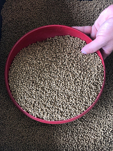 Tilapia Floating 3mm Pellet | Nature