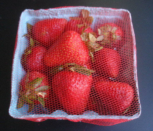 Mesh Net for Berry Baskets | bluefirefarmsupply
