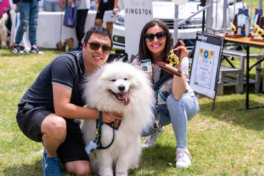 Gallery | Chelsea Dog-A-Thon Family Fun Day