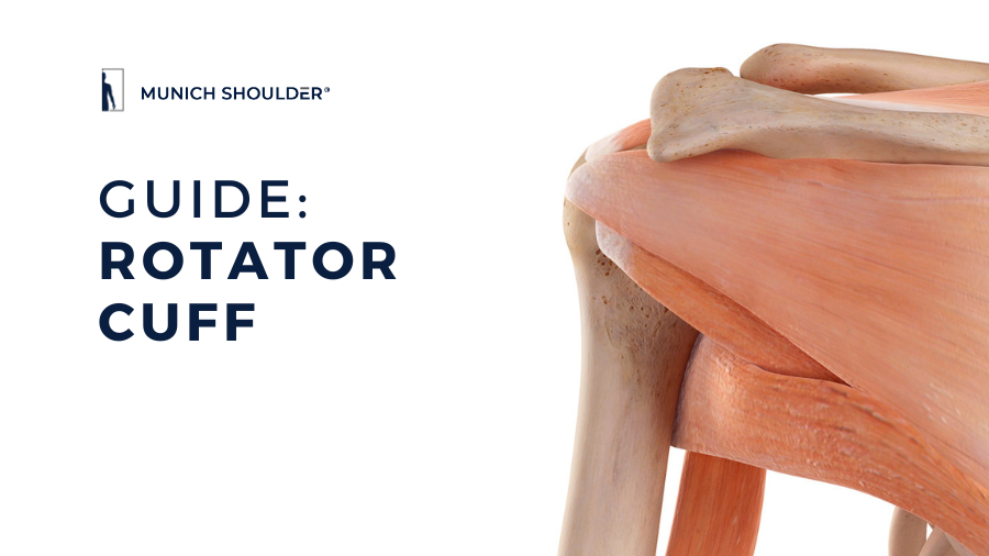 Everything you need to know about the rotator cuff!