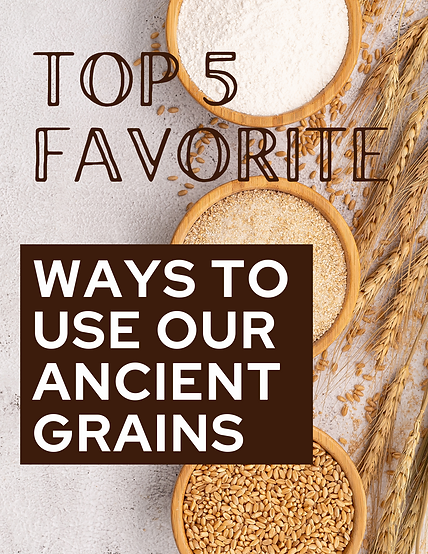 Spelt and Khorasan Ancient Grains | IdahoAncientGrains