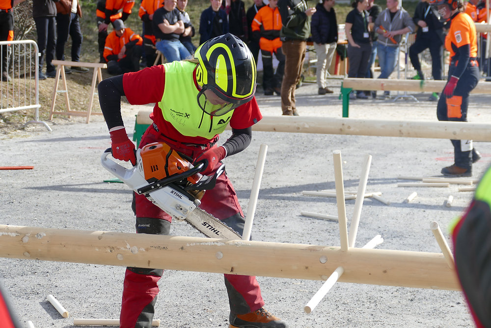 Infometrics at the 16th Alpe Adria Forest Olympics