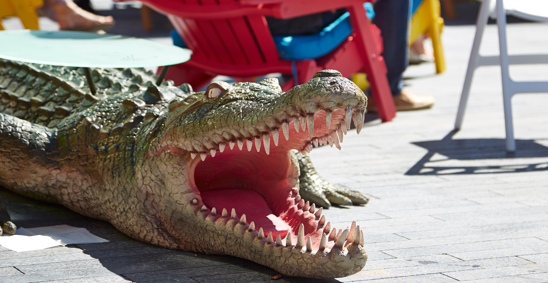 Nick Zuppar | Entertainment Producer