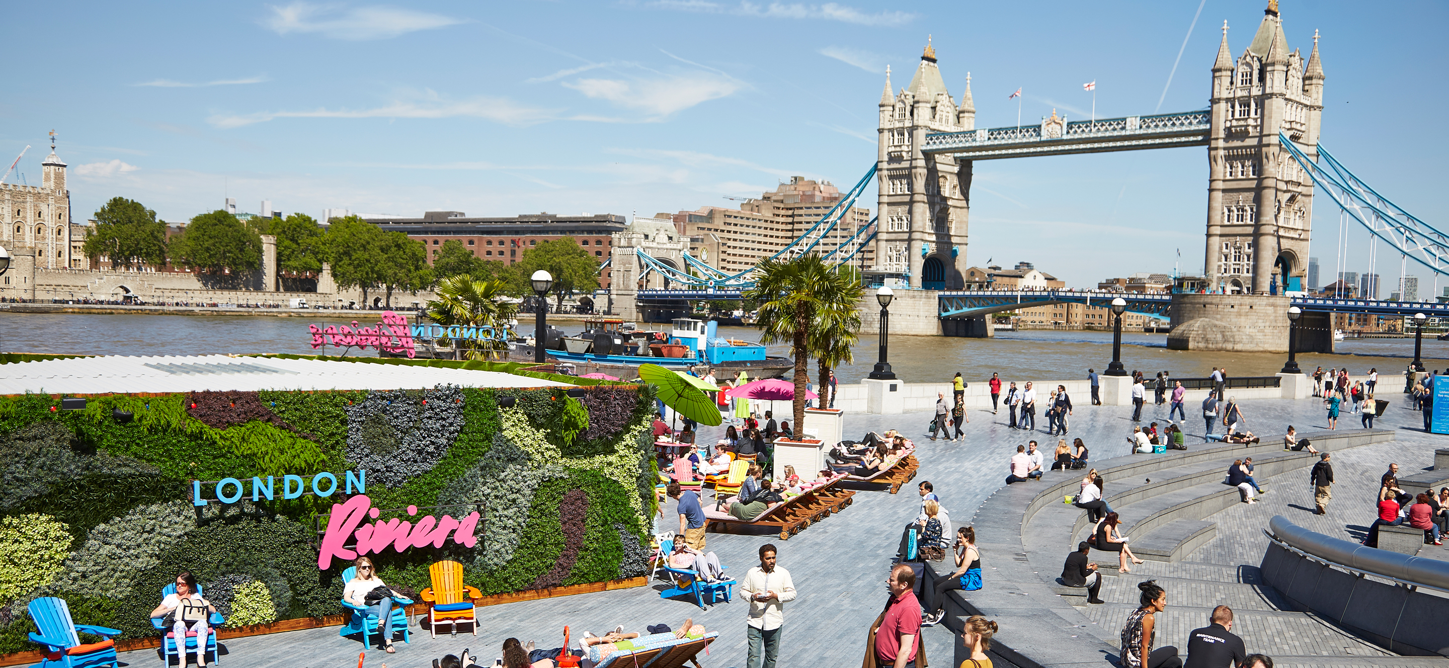 Nick Zuppar | Entertainment Producer