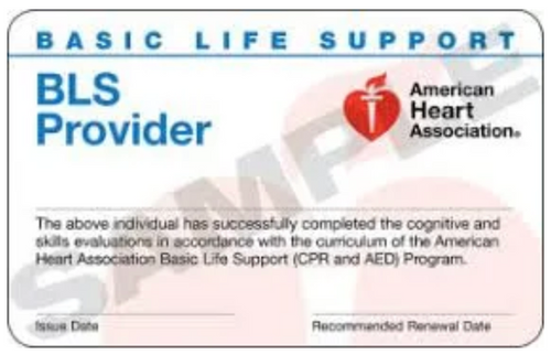 Red Cross/AHA/HSI CPR BLS Provider Certification | PFM Phlebotomy
