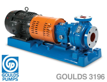 GOULDS PUMP Model 3196 || Process Pump installed beyond 1 million ...