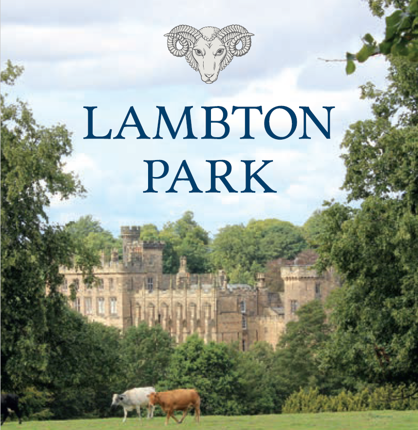 Walk Lambton Park Estate