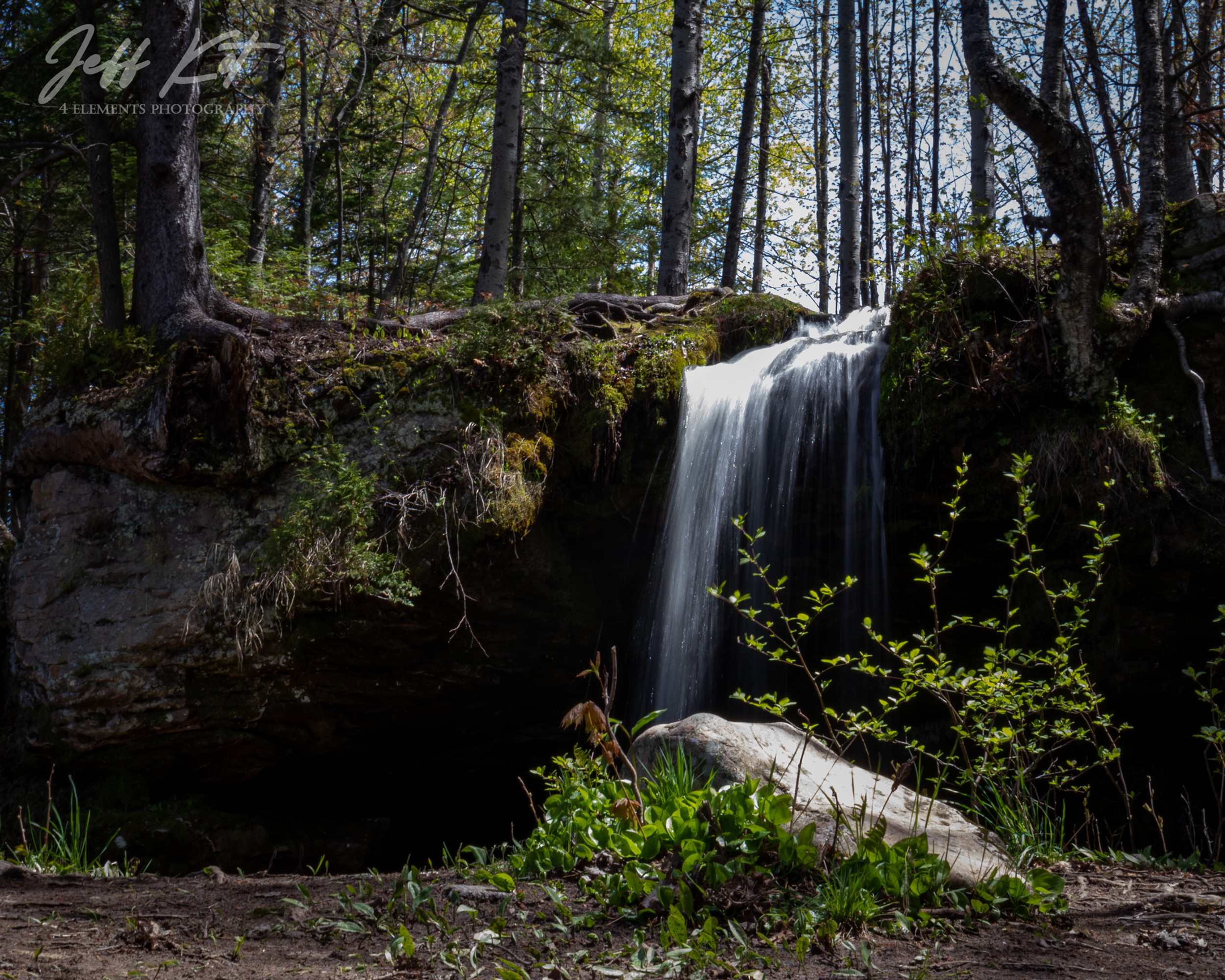 Freelance Photographer | 4 Elements Photography | Warren