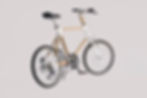 Spedagi Rodacilik | The First Bamboo Minivelo in the World