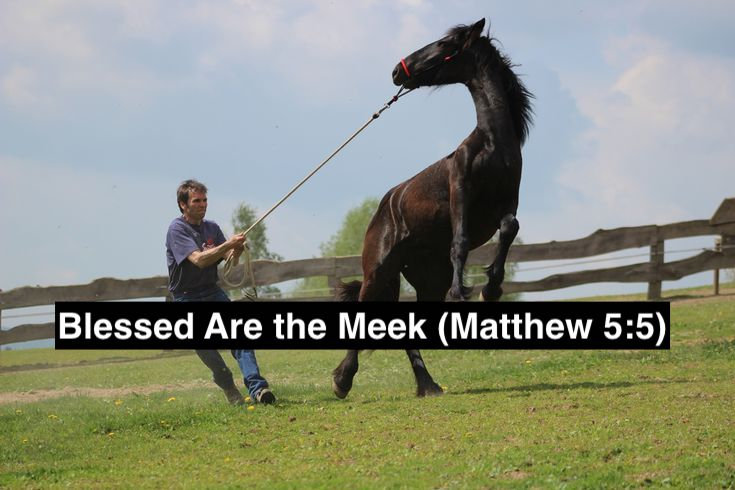 Blessed Are the Meek (Matthew 5:5).