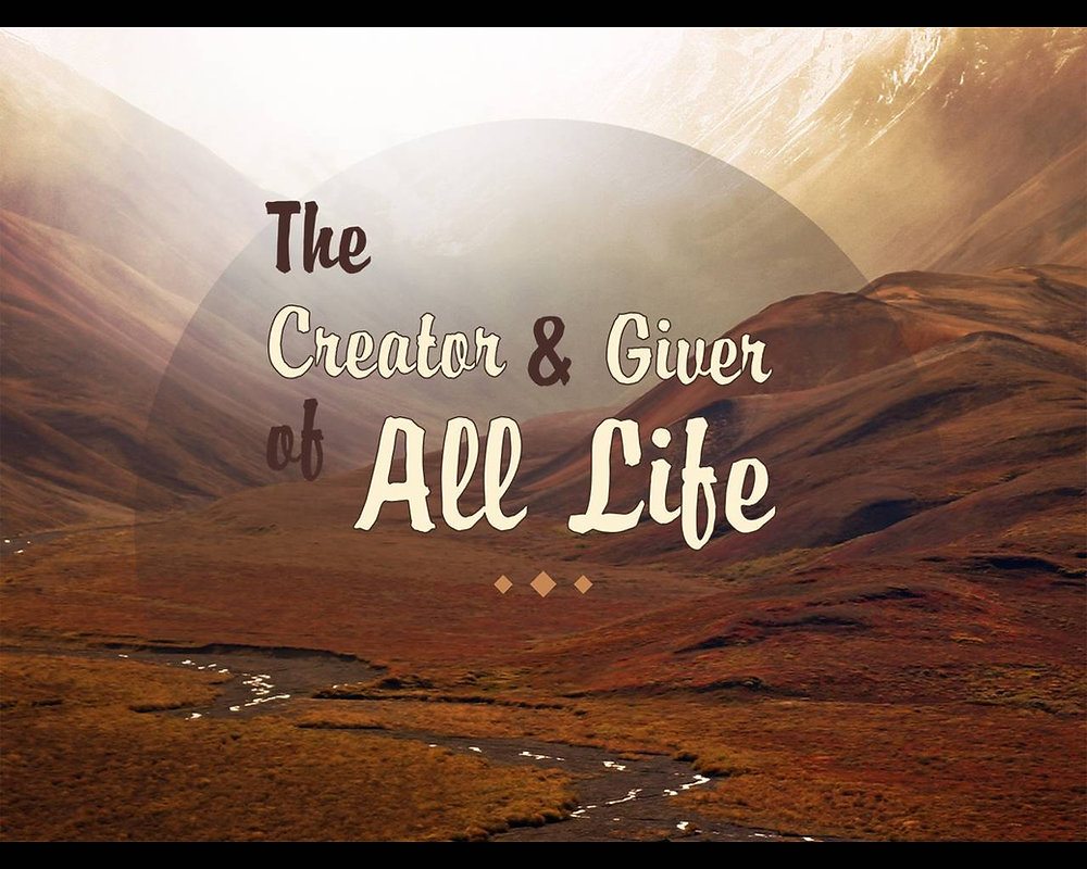 Jesus Came to Give Us New Life