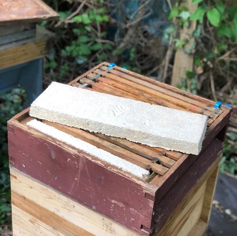 Local Bee: Reviving UK Honeybees with Mycelium Hives