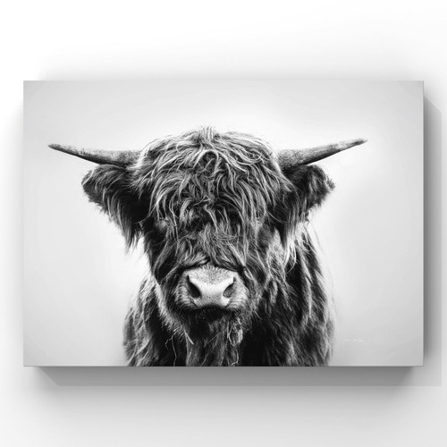 1062 The Rising Bull Art B&W | Bon Rean Highlands