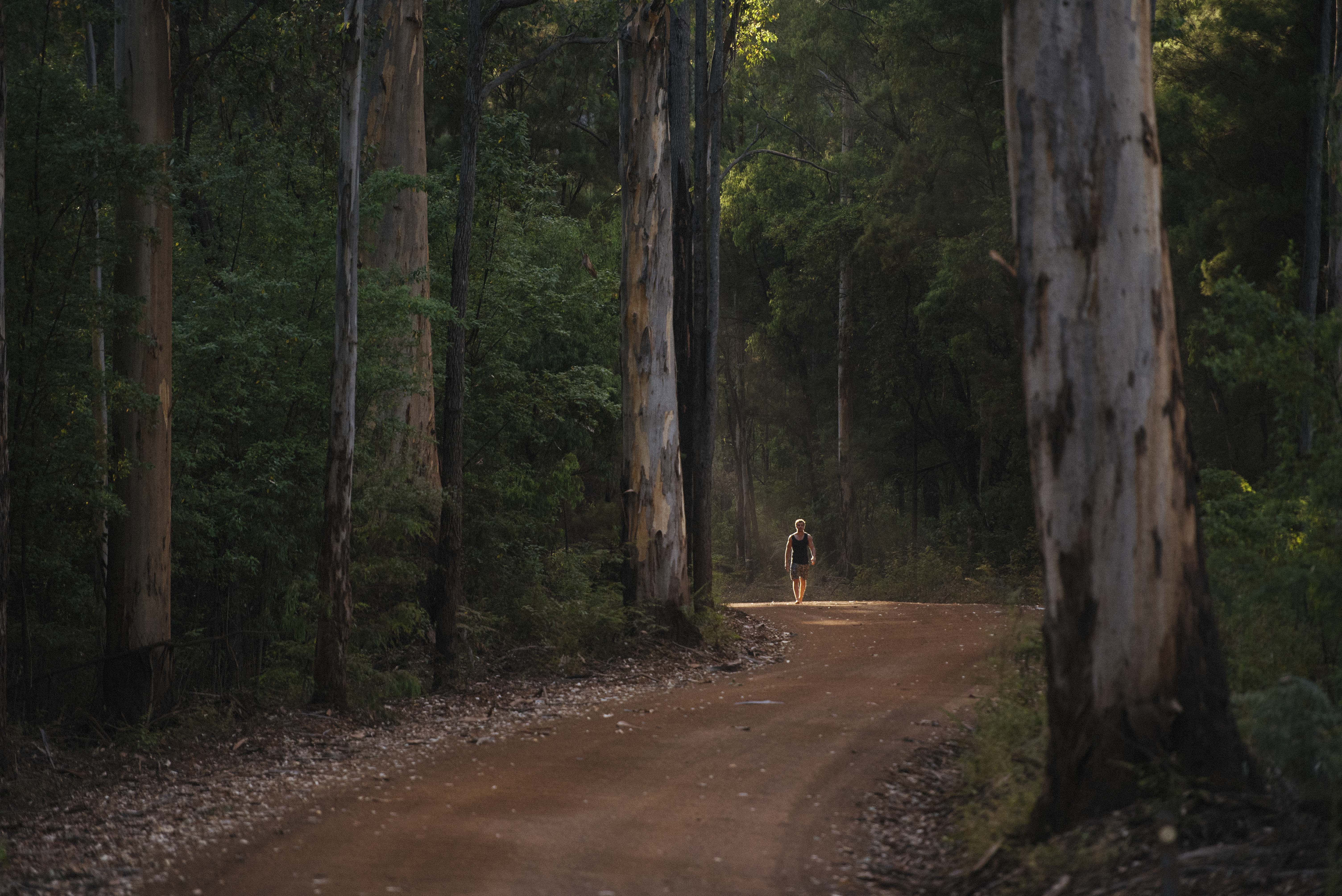 Accommodation Spa Pemberton | Mudstone | Australia