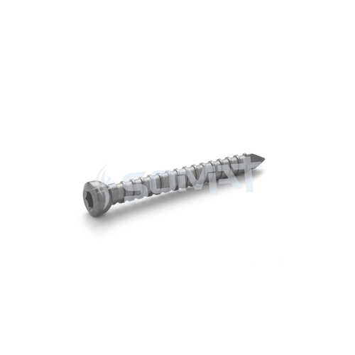 4.9 mm Interlocking Bolt | Somnath ortho