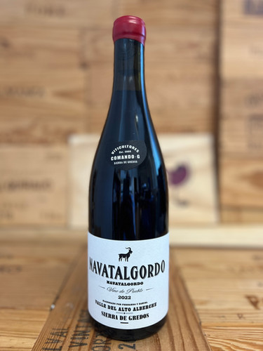 2022 Comando G Navatalgordo | Pop Taste