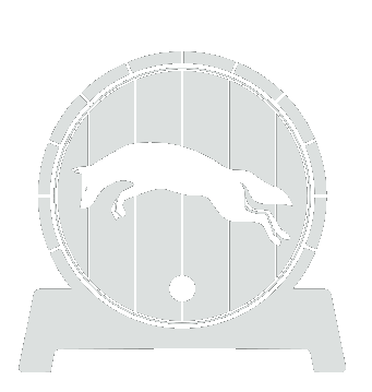 Sriracha Sauce South Africa| Montagu| Jumping Jackal Sriracha Sauce