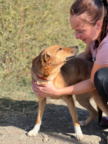 Matilda, Jan 2022 | bmdrnew