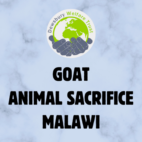 GOAT - MALAWI | DWT