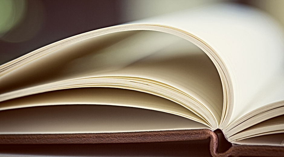 Group 1: Studies in language and literature | Nesbru VGS