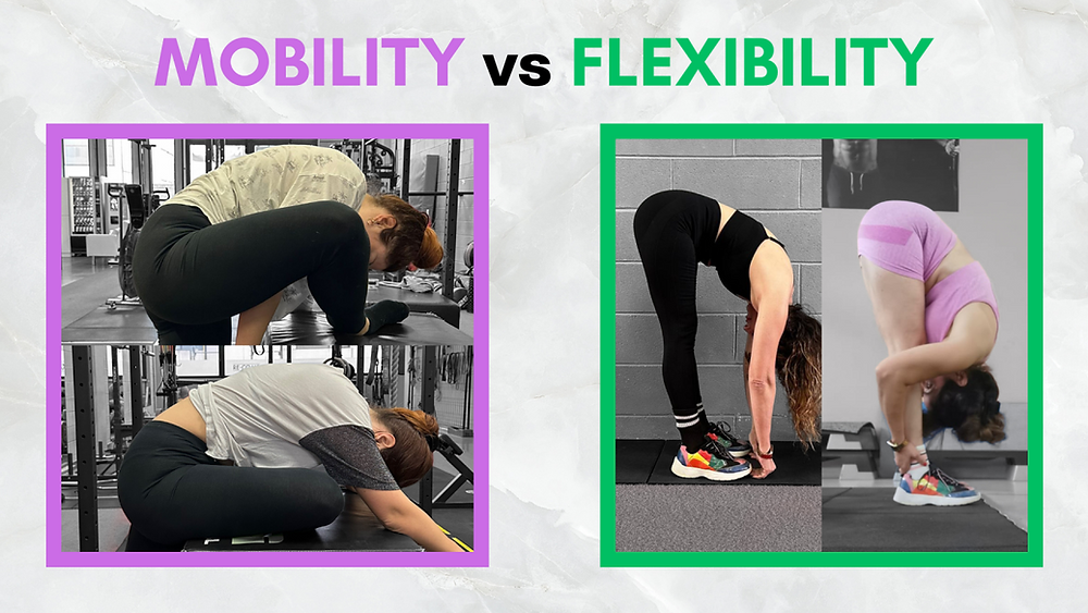 Mobility vs. Flexibility: Understanding the Differences and Why They Matter