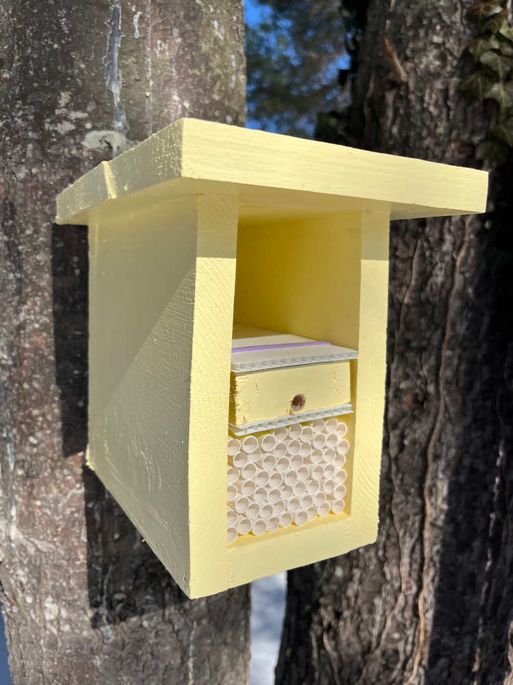IT'S TIME TO THINK ABOUT MASON or LEAFCUTTER BEE HIVES FOR YOUR GARDEN!!